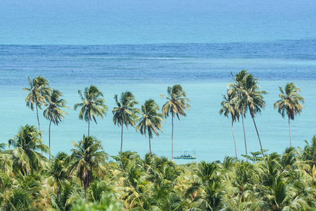 Praia do Toque em São Miguel dos Milagres - AL